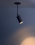 Baton Spotlight With extension arm Short – Southern Lights Electric